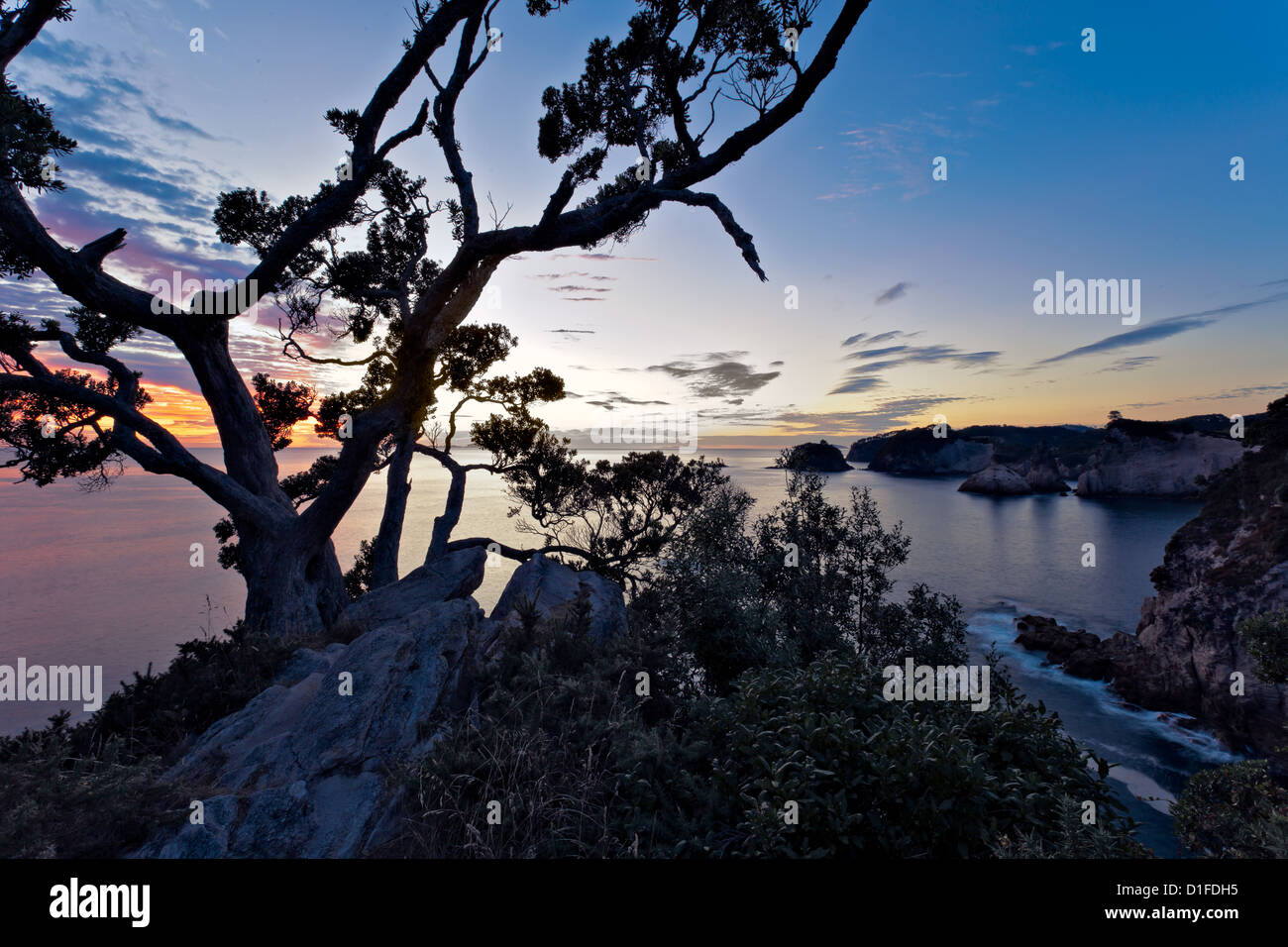 Sunrise at Te Pare Point Stock Photo - Alamy