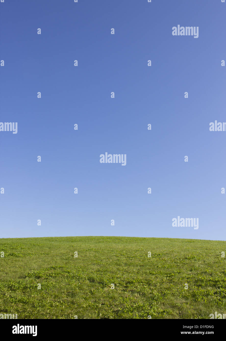 Blue sky and grasslands Stock Photo - Alamy
