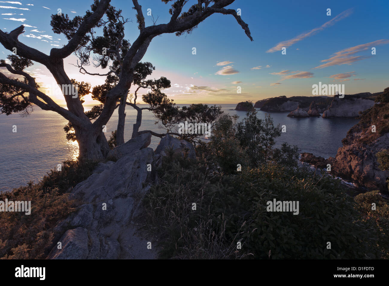Sunrise at Te Pare Point Stock Photo - Alamy