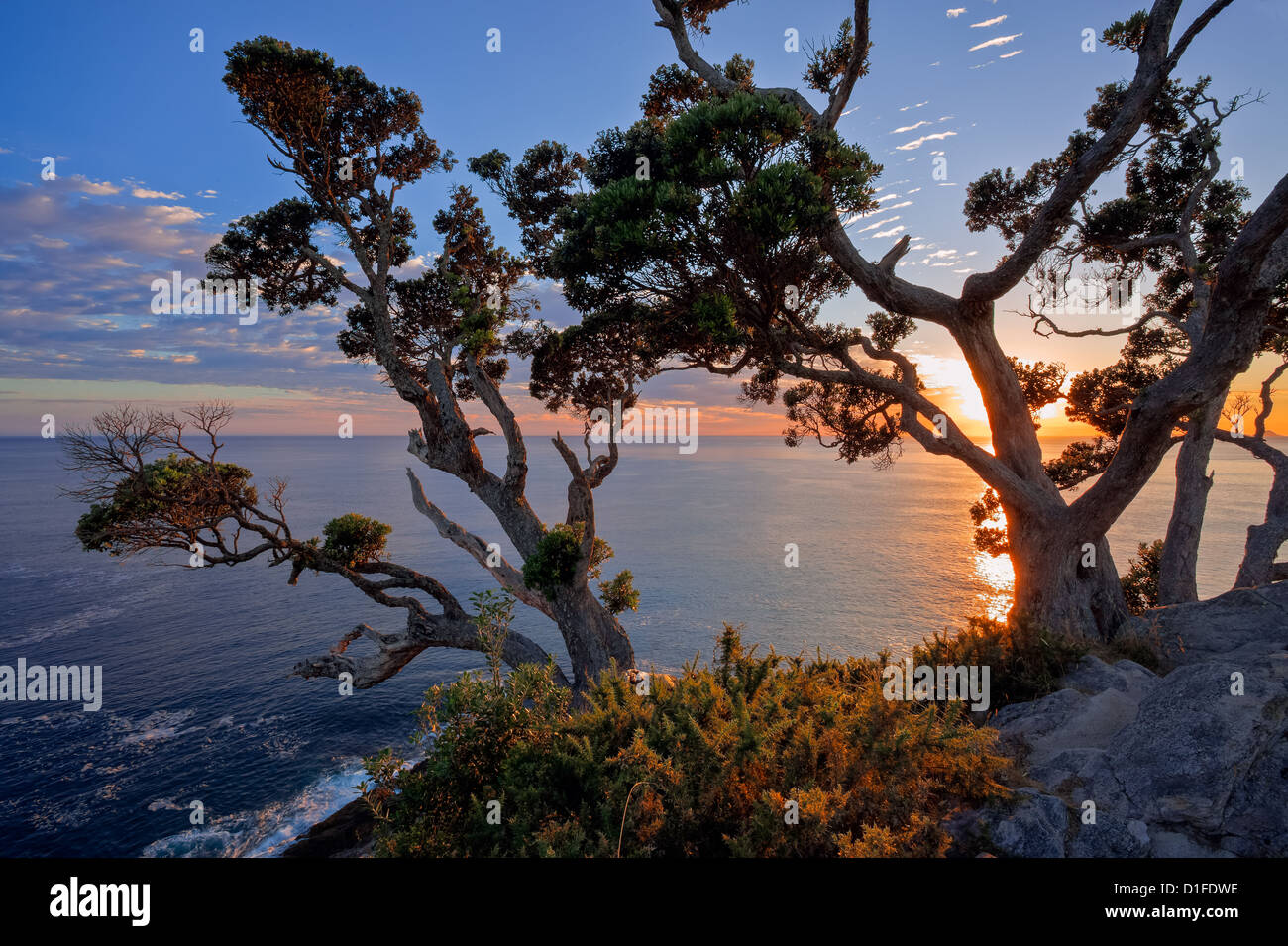 Te pare point hi-res stock photography and images - Alamy
