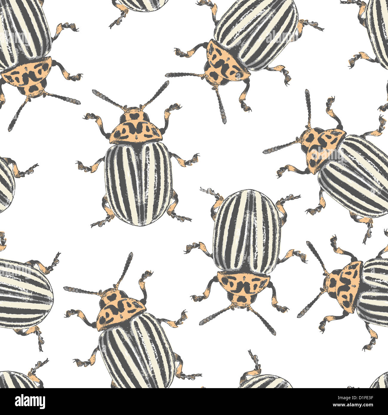 Colorado beetles - seamless texture Stock Photo - Alamy