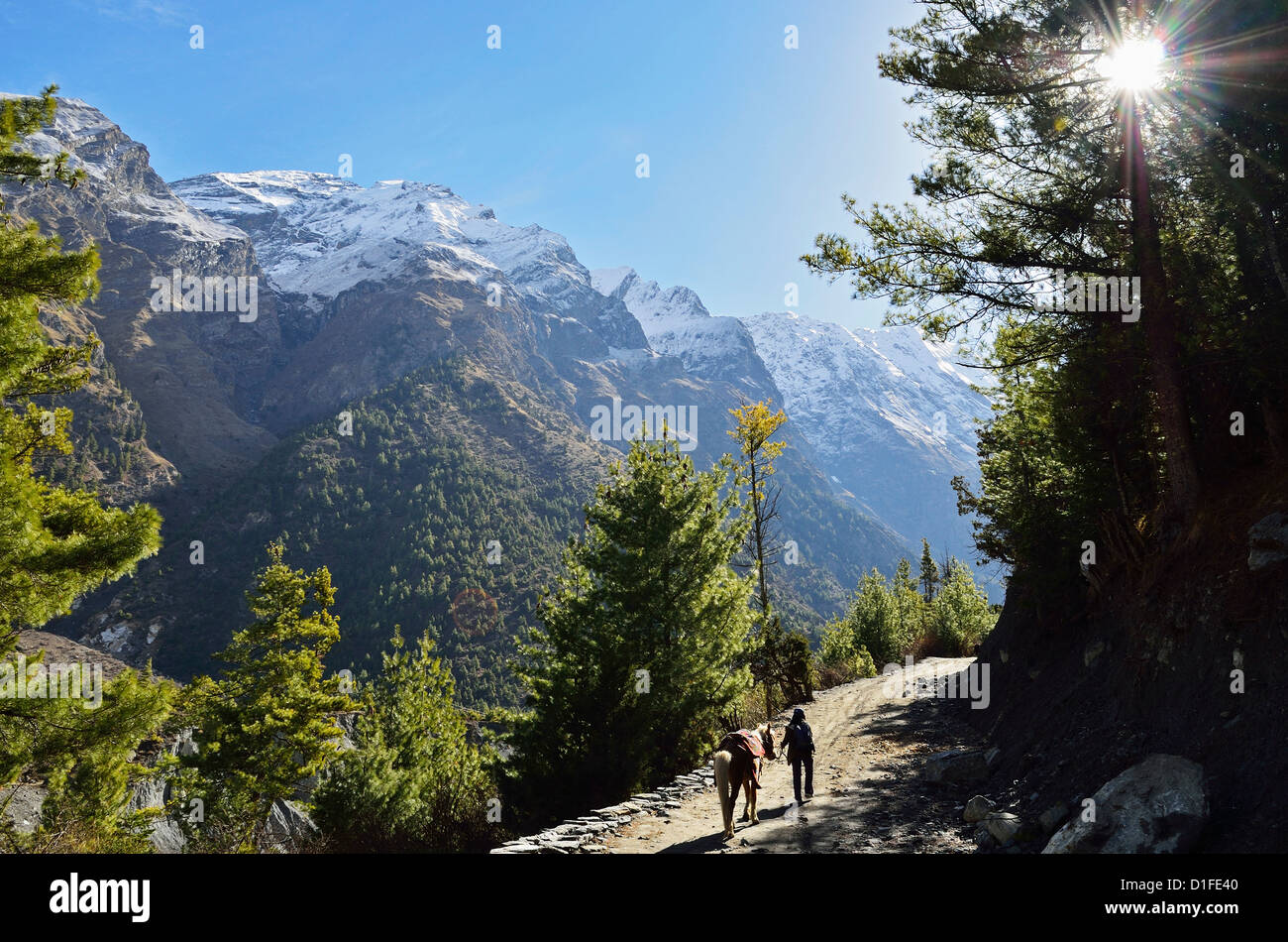 Marsyangdi River Valley, Annapurna Conservation Area, Gandaki, Western ...