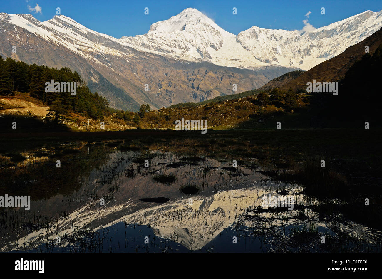 Dhaulagiri Himal seen from Titi, Annapurna Conservation Area ...