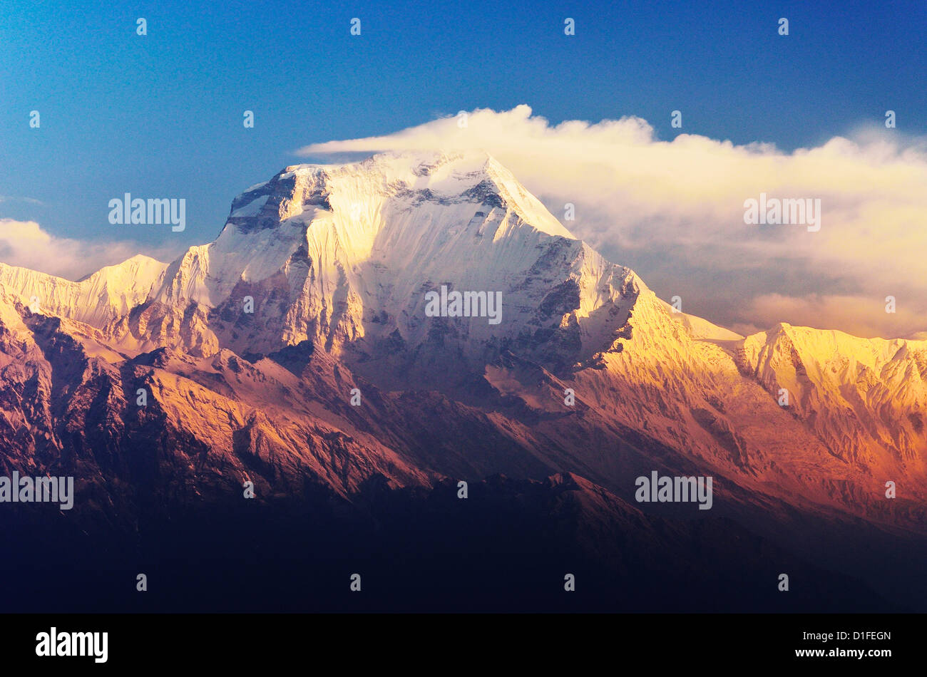 Dhaulagiri Himal seen from Khopra, Annapurna Conservation Area ...