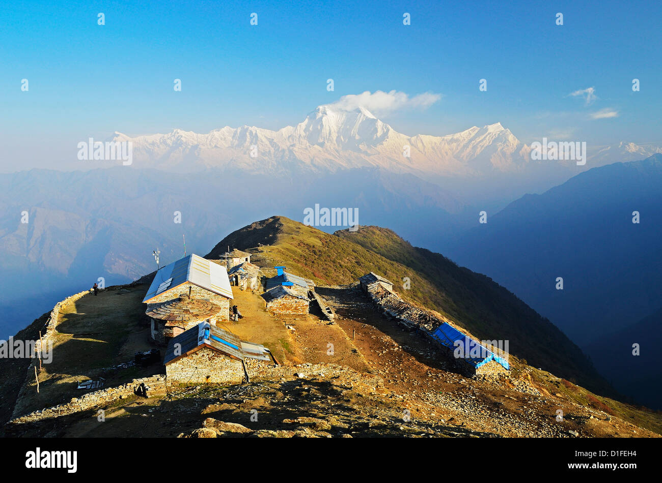 Dhaulagiri Himal seen from Khopra, Annapurna Conservation Area ...