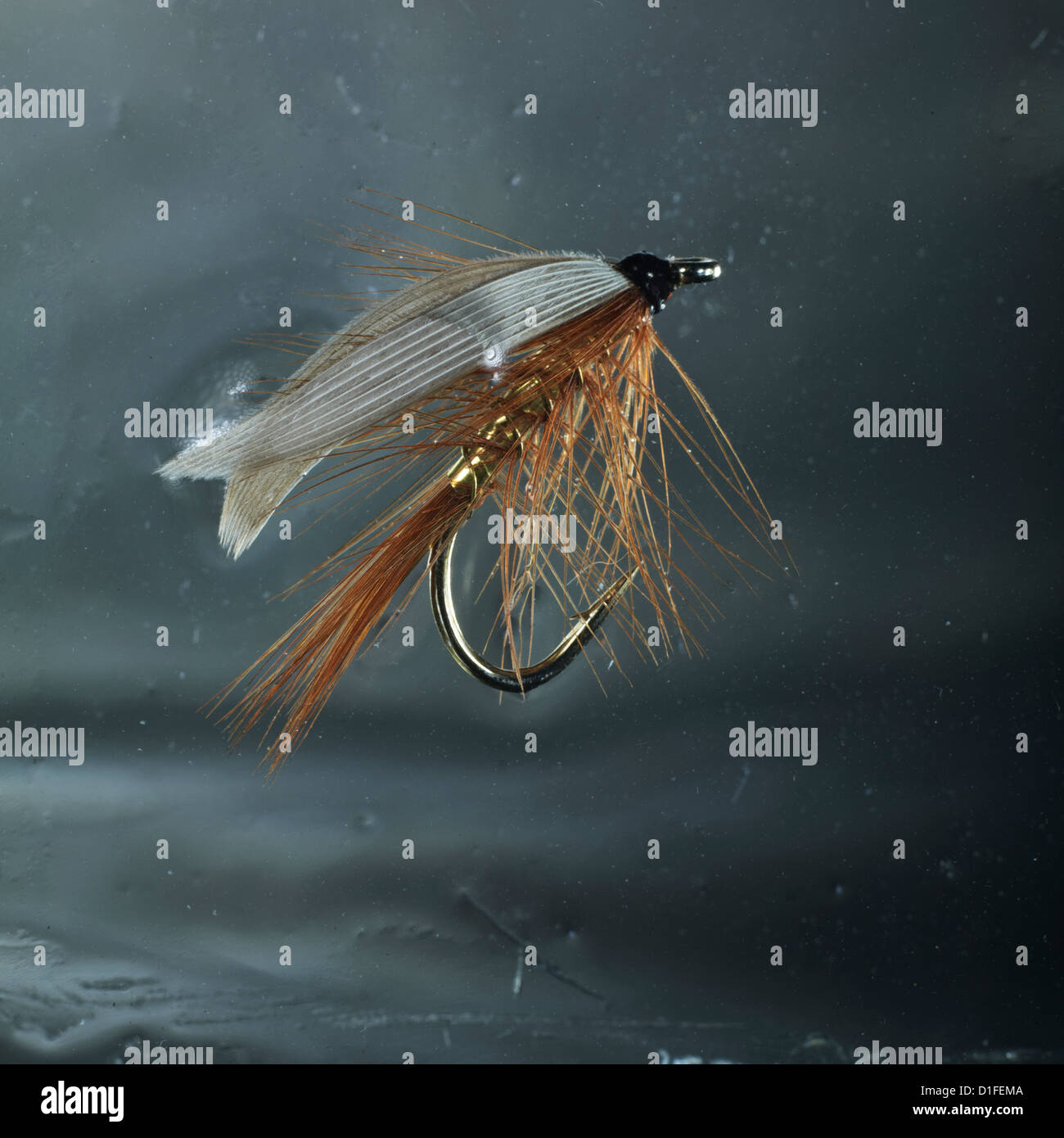 Fancy river hi-res stock photography and images - Alamy