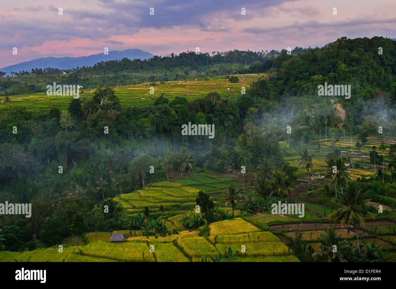 Rainforest and fields, Senaru, Lombok, Indonesia, Southeast Asia, Asia ...