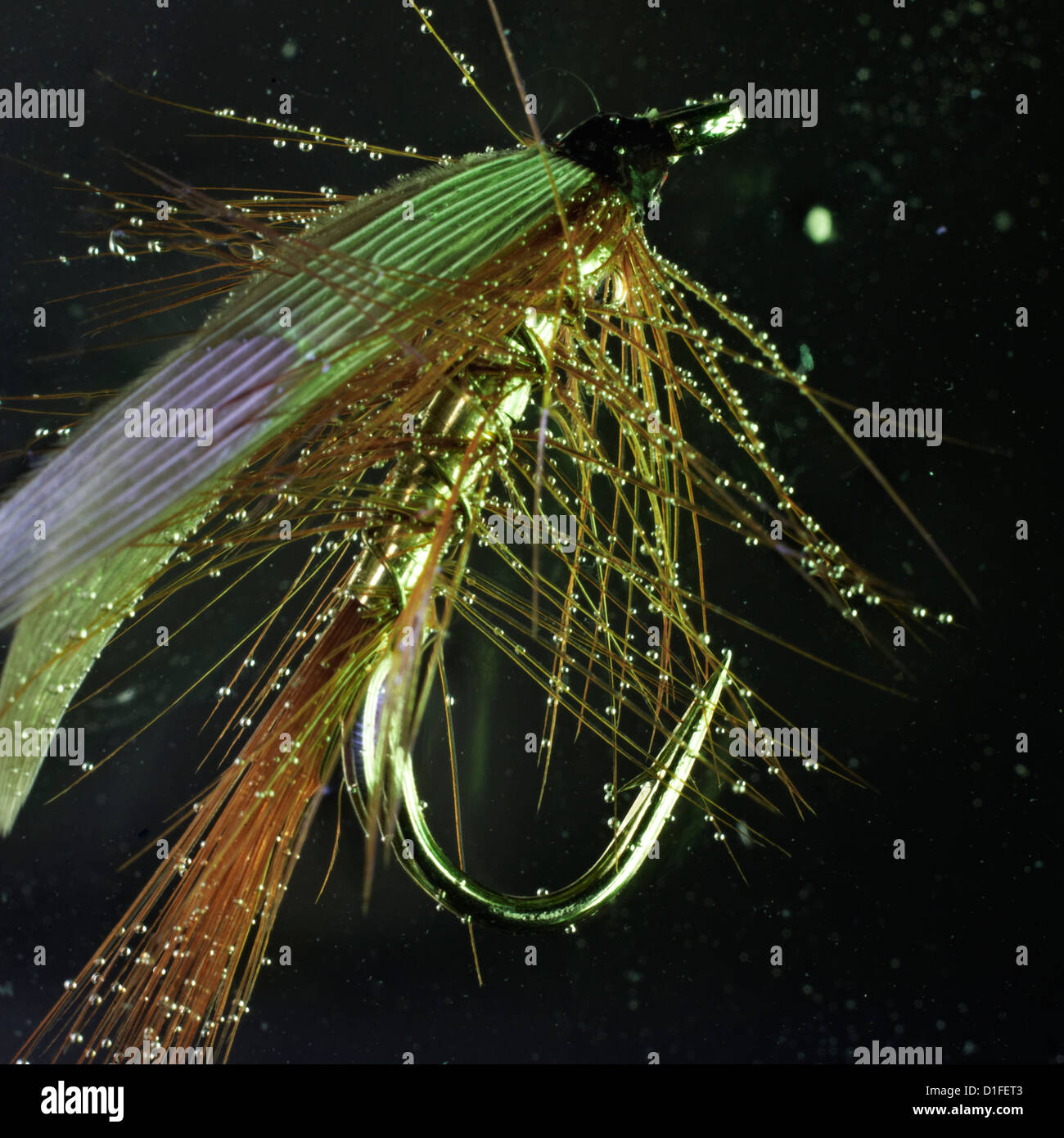 Tying artificial flies hi-res stock photography and images - Alamy