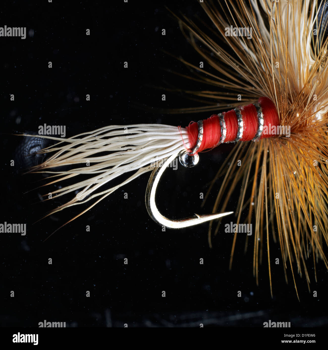 Tied flies hi-res stock photography and images - Alamy