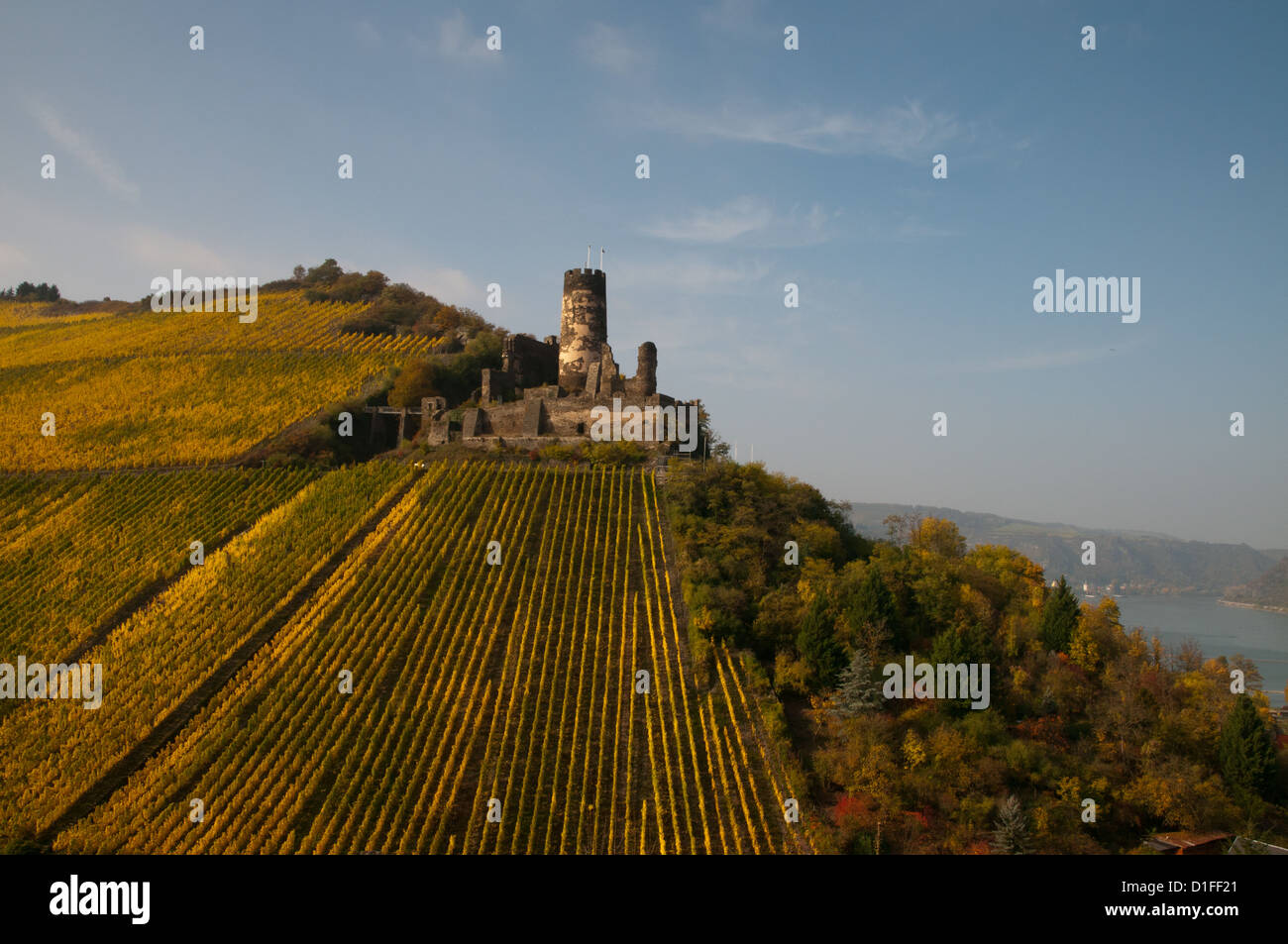 Furstenberg castle ruin hi-res stock photography and images - Alamy