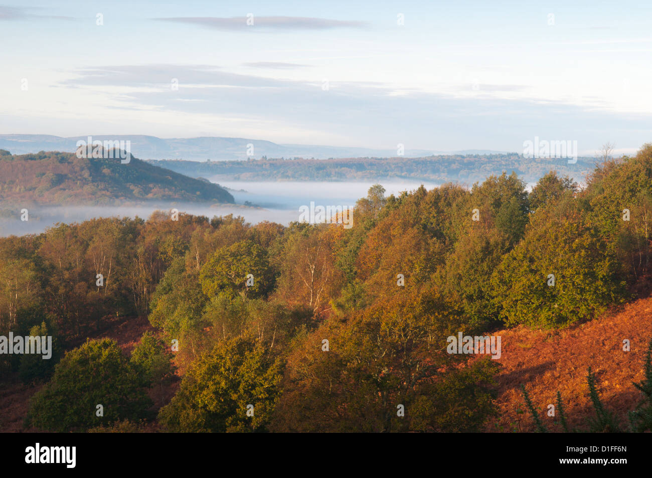View north-west across Redford and Milland from beside Older Hill on ...