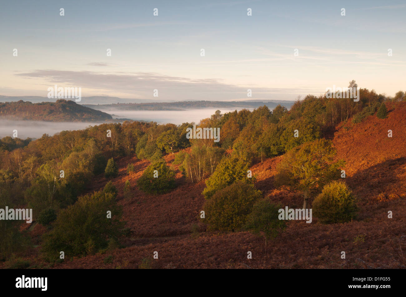 View north-west across Redford and Milland from beside Older Hill on ...
