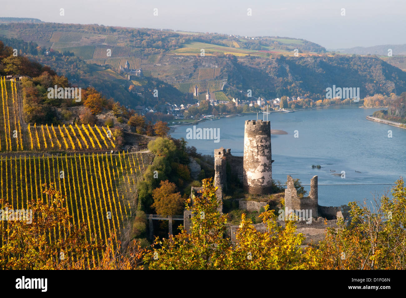 Rhineland germany hi-res stock photography and images - Alamy