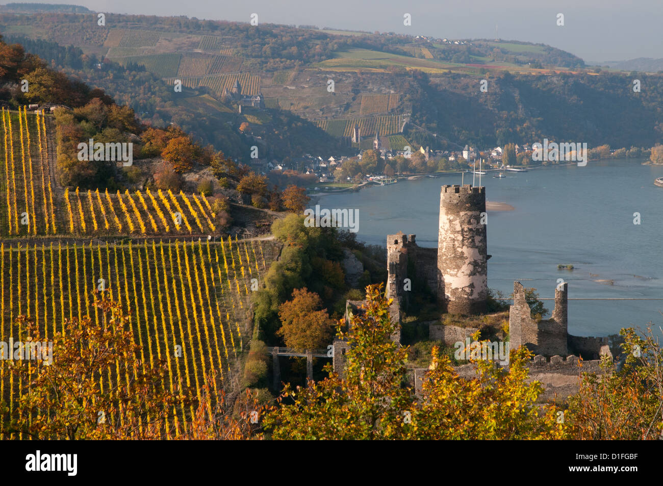 Furstenberg castle ruin hi-res stock photography and images - Alamy