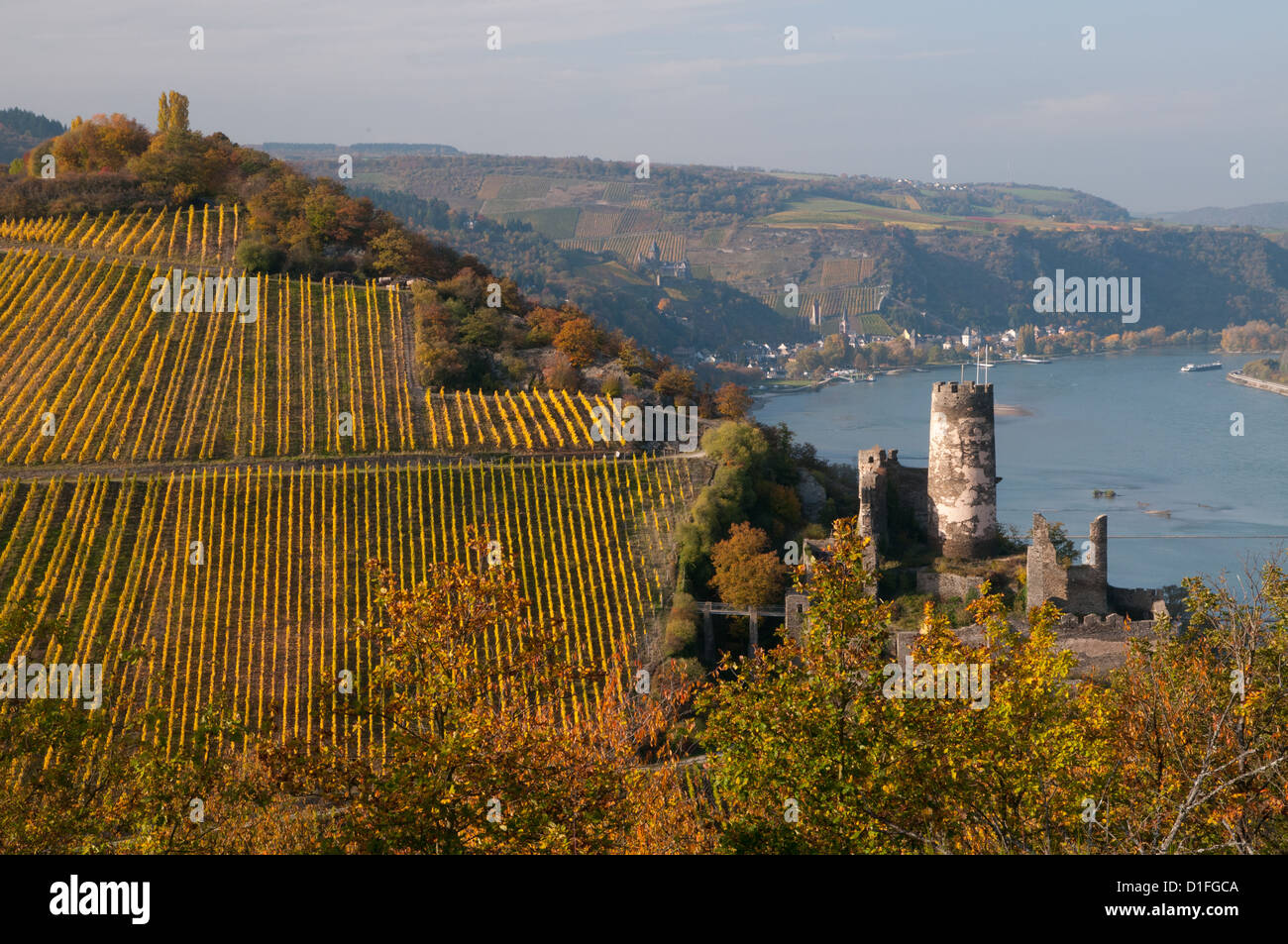 Rhineland in autumn, Germany Stock Photo - Alamy