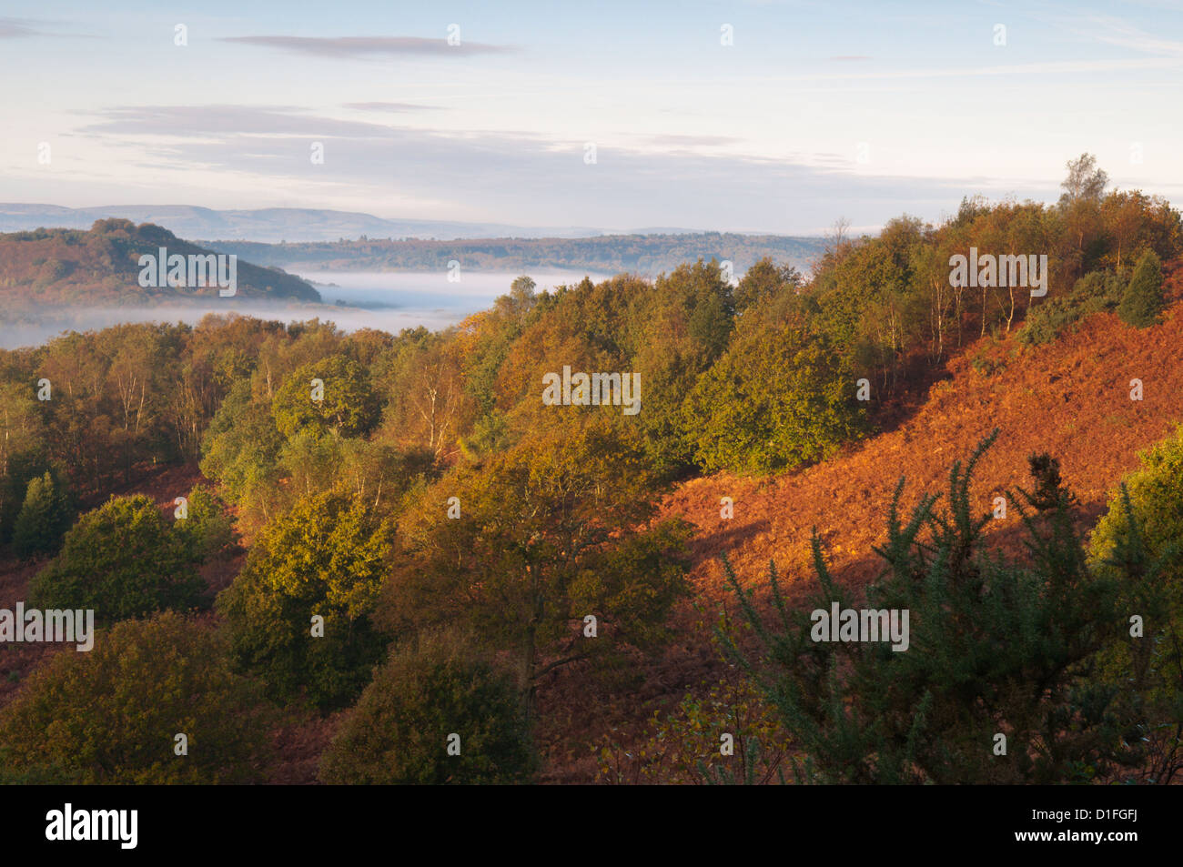 View north-west across Redford and Milland from beside Older Hill on ...