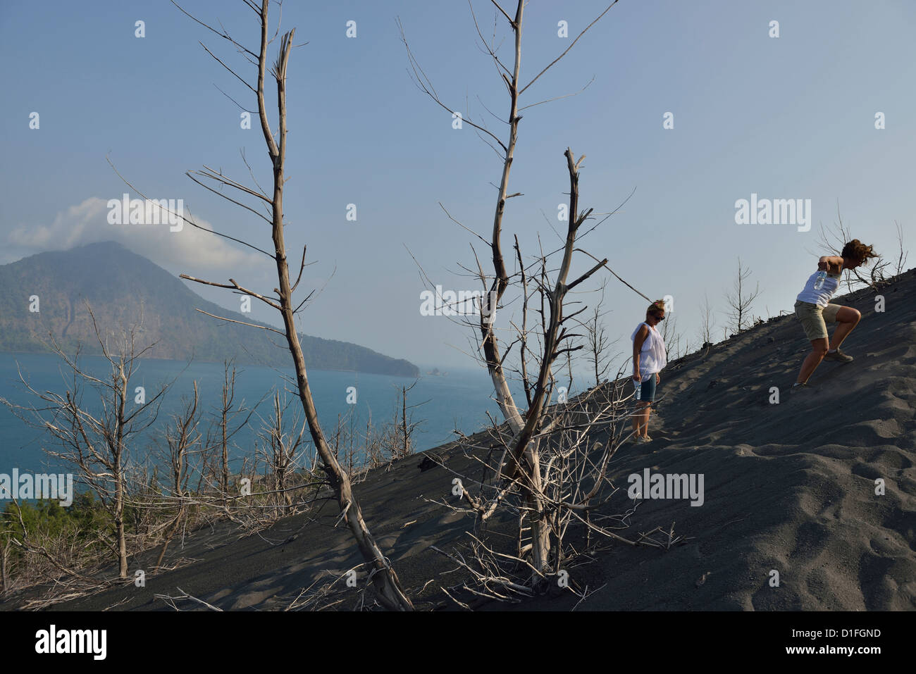 Torched trees with the island of Rakata in the background while two ...
