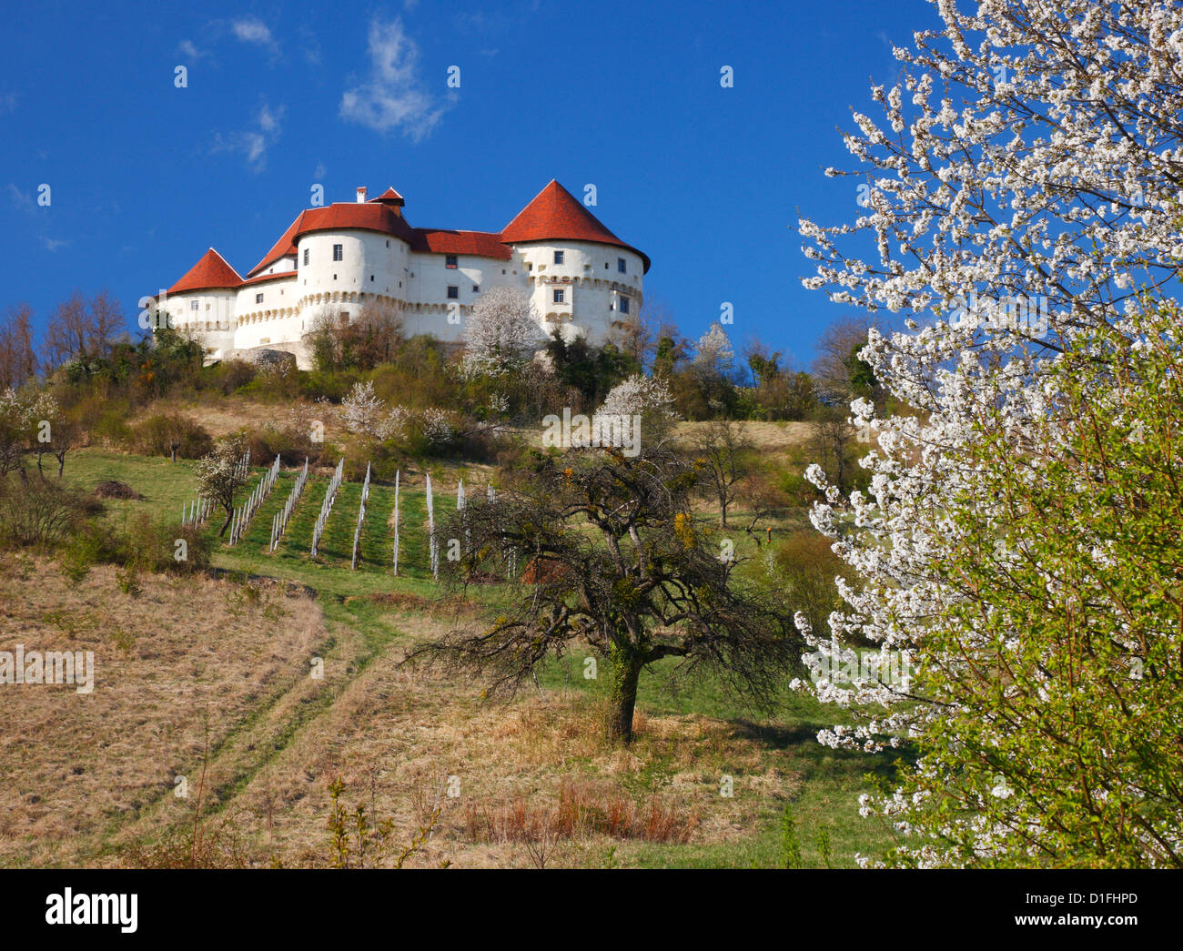 Tabor castle hi-res stock photography and images - Alamy