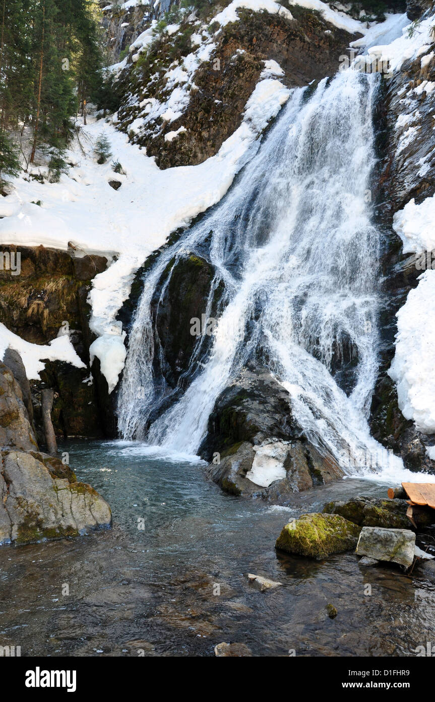 Rachitele hi-res stock photography and images - Alamy