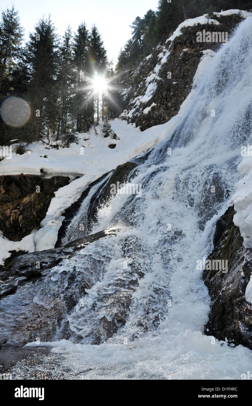 Rachitele hi-res stock photography and images - Alamy