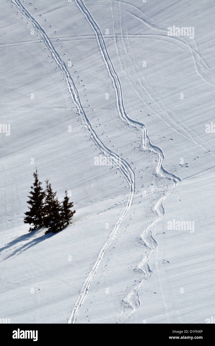Snow background with ski and snowboard tracks in the Austrian Alps ...