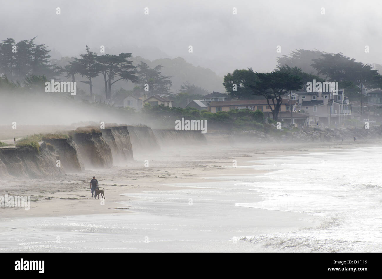 Fog rolling over the beach in Half Moon Bay California Stock Photo - Alamy