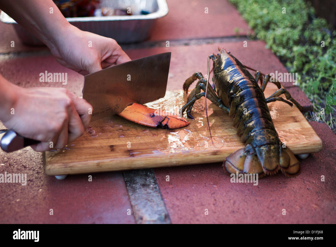 Lobster Chef High Resolution Stock Photography and Images - Alamy