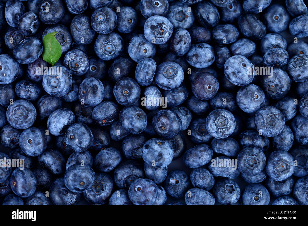 Blueberries as background with one little green leaf Stock Photo - Alamy