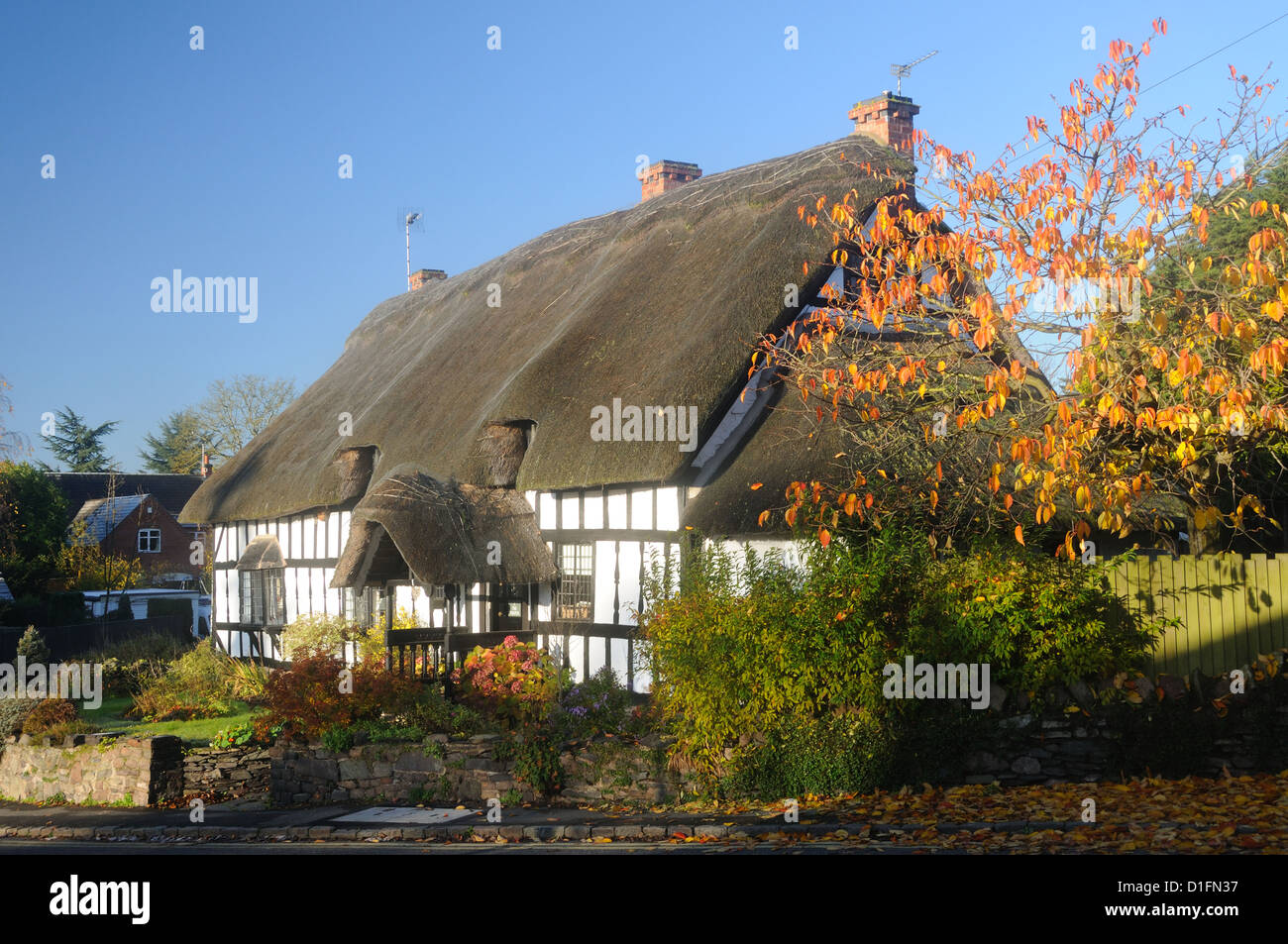 Half timbered thatched cottage hi-res stock photography and images - Alamy