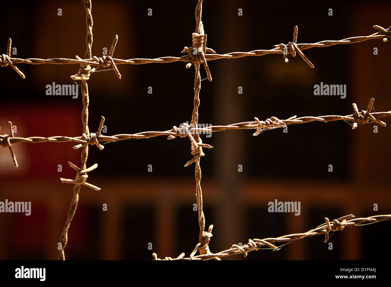 Barbed Wire Fence Stock Photo - Alamy