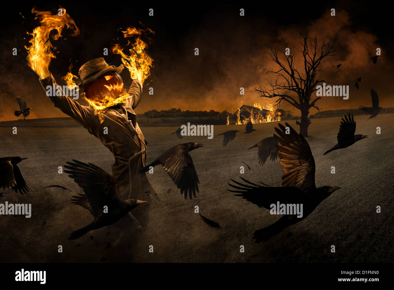 Master ravens hi-res stock photography and images - Alamy