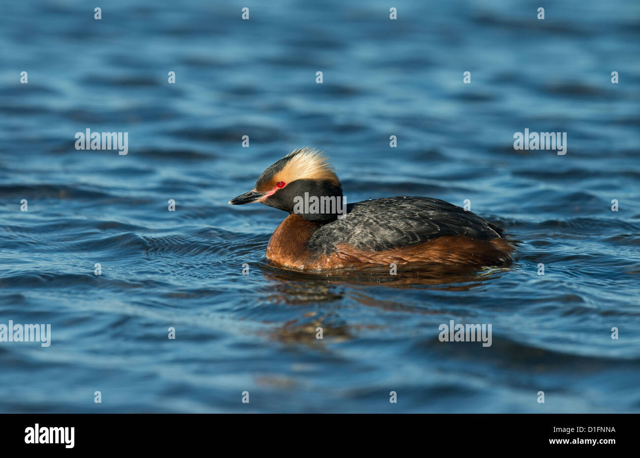 Summer garb hi-res stock photography and images - Alamy