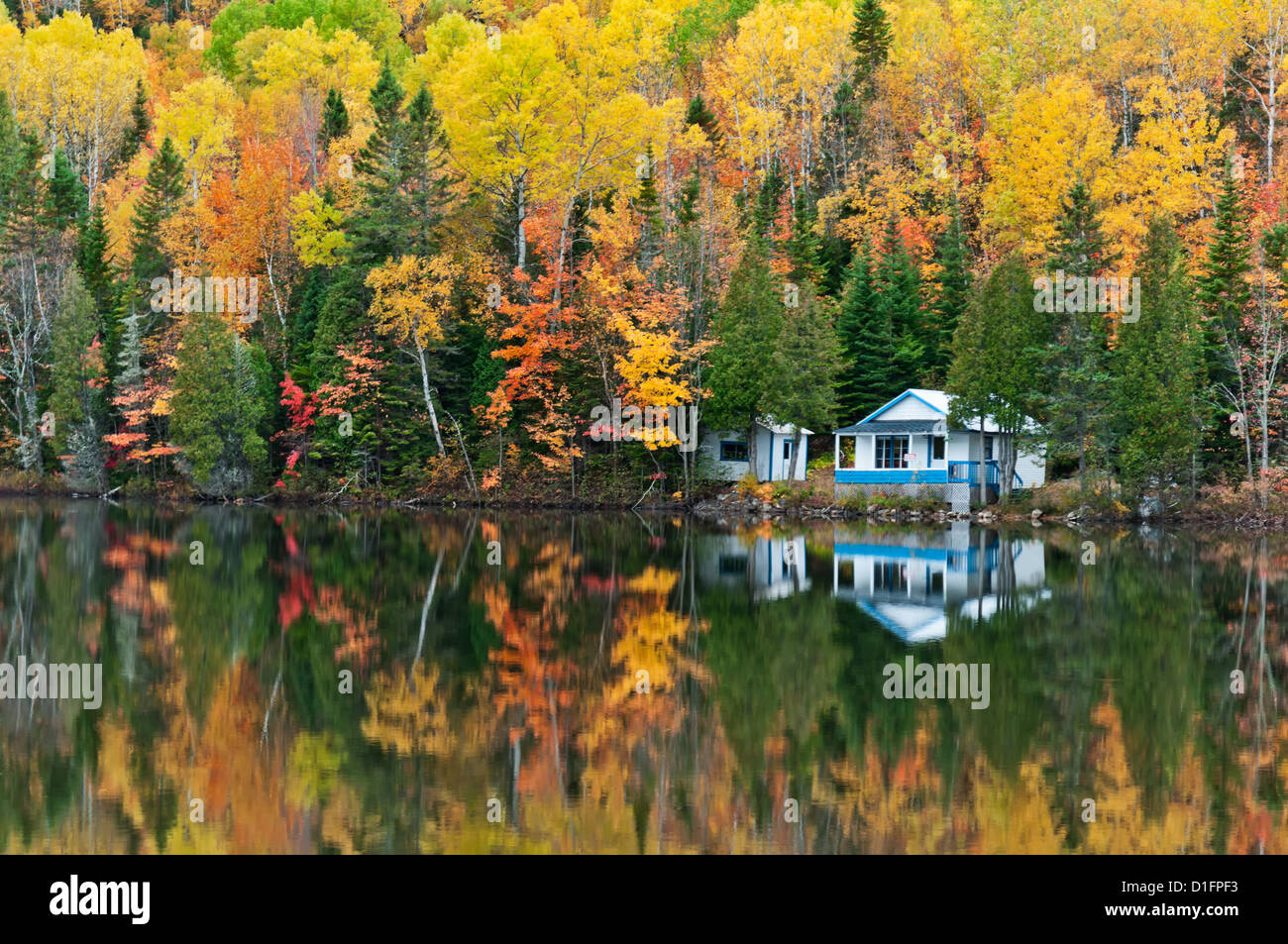 Beautiful reflections of a autumn forest and a house in a lake Stock ...