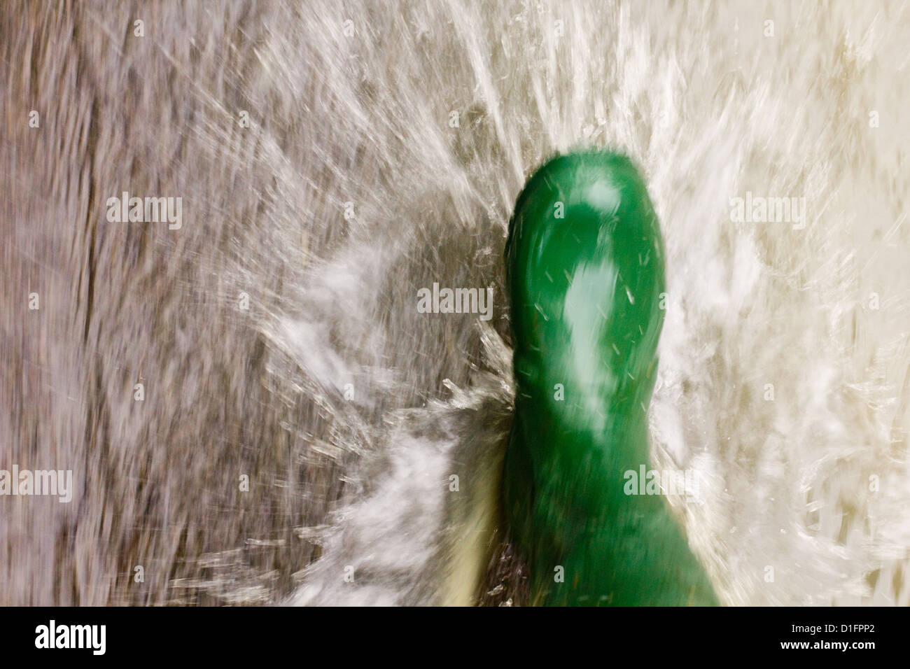 Wellington boot splashing through a puddle Stock Photo - Alamy
