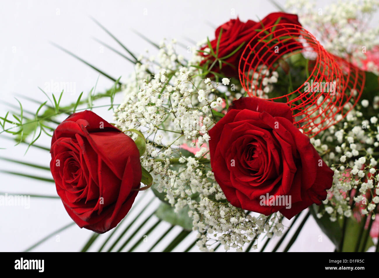 Three red roses hi-res stock photography and images - Alamy