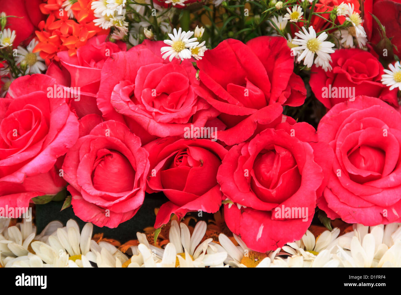 beautiful bouquet of rose and bright flowers Stock Photo - Alamy