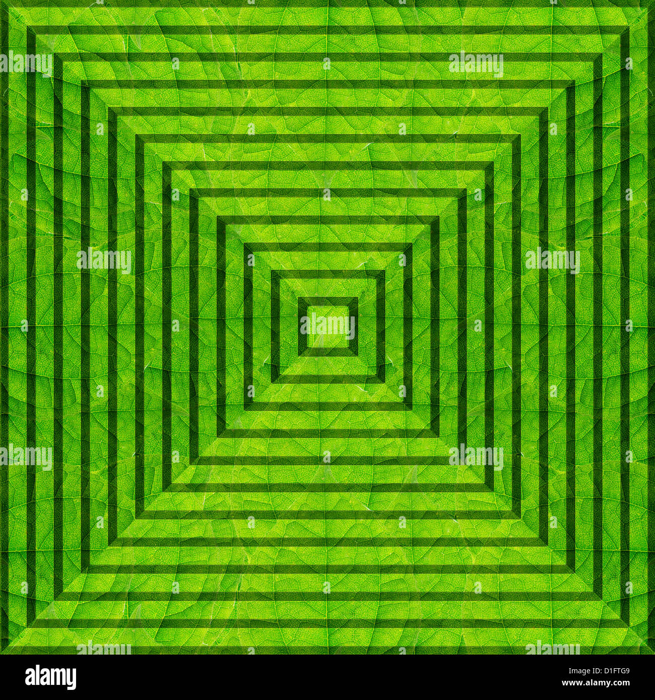 Abstract square maze, green leaves Stock Photo - Alamy