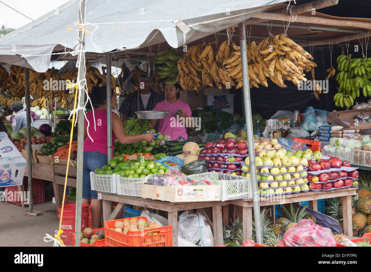 The San Ignacio market in Belize is loaded up with all types of fresh ...