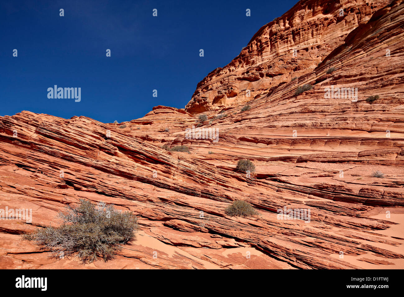 Sandstone layers, Vermillion Cliffs National Monument, Arizona, United ...