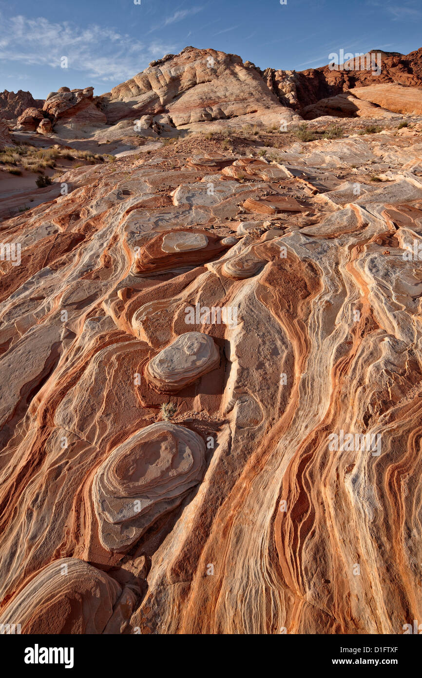 Colorful sandstone layers, Valley Of Fire State Park, Nevada, United ...