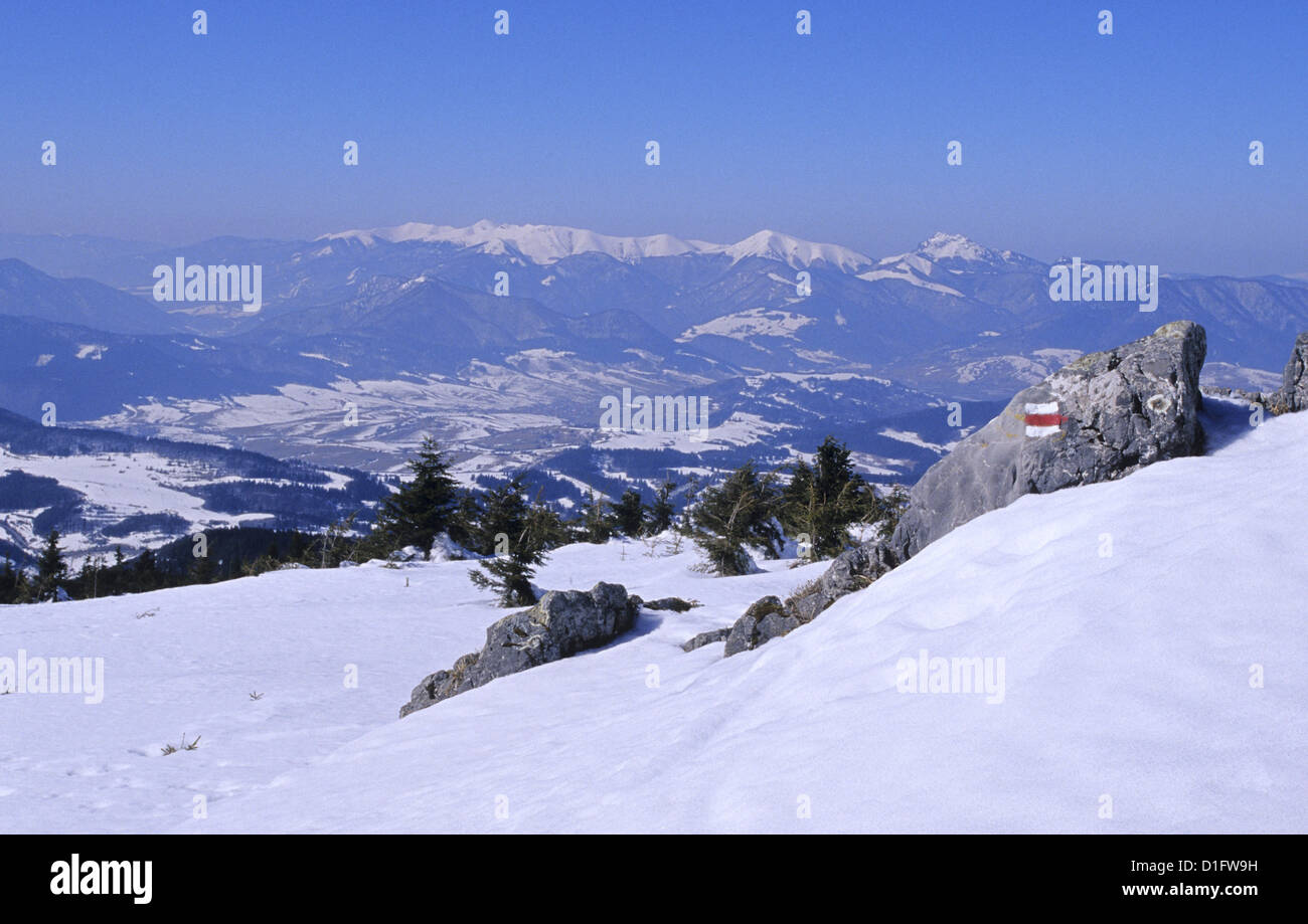 View of the Mala Fatra mountains from the summit of Velky Choc in ...