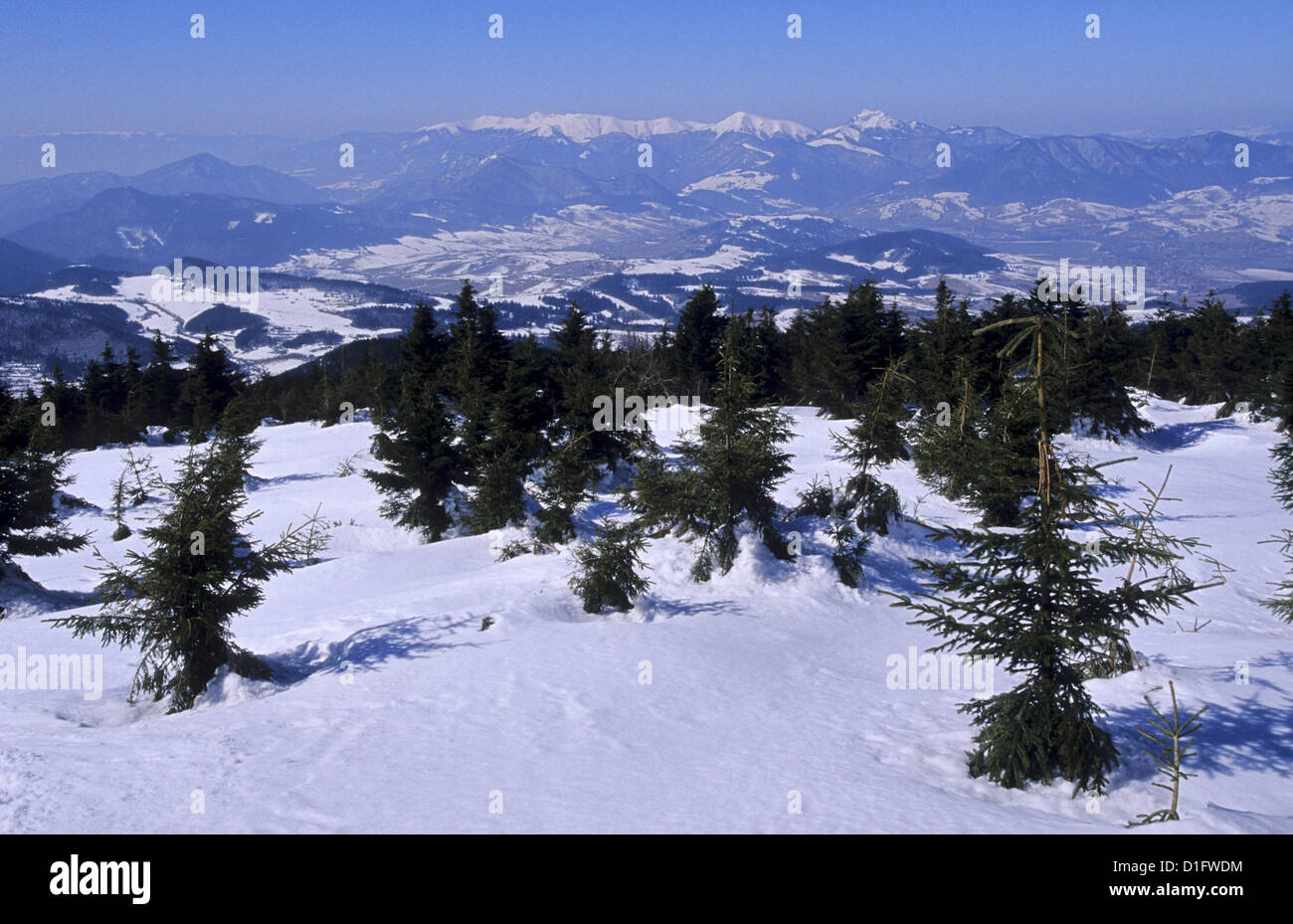 View of the Mala Fatra mountains from the summit of Velky Choc in ...