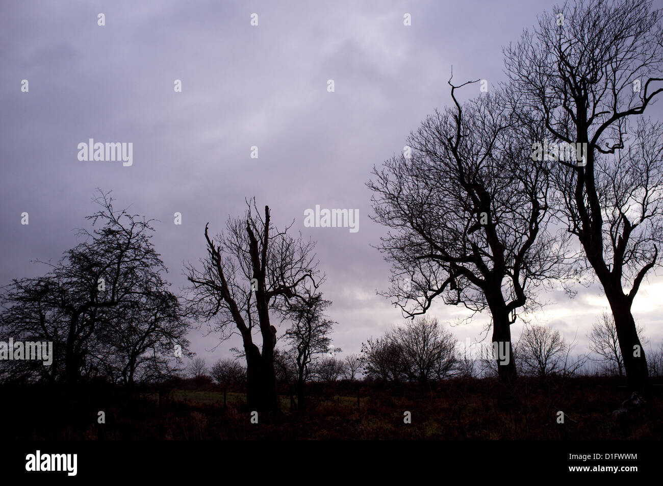 Winter in suffolk uk hi-res stock photography and images - Alamy