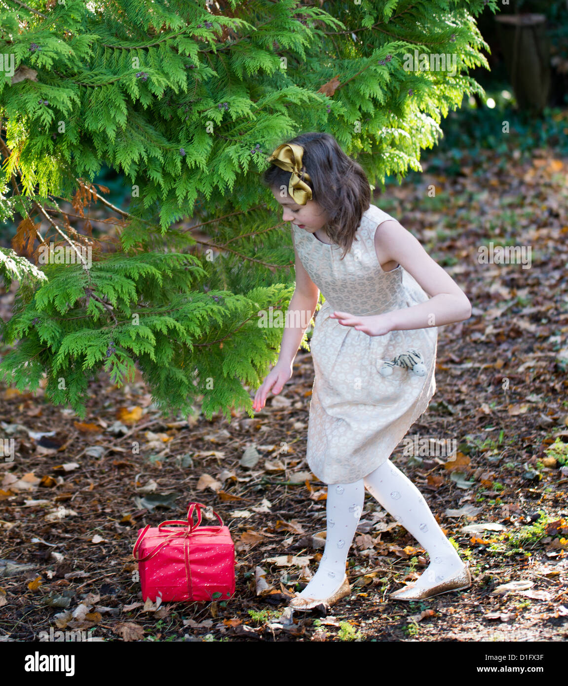 9 Years Old Girl Dressed For Occasion With A Present Under A Tree