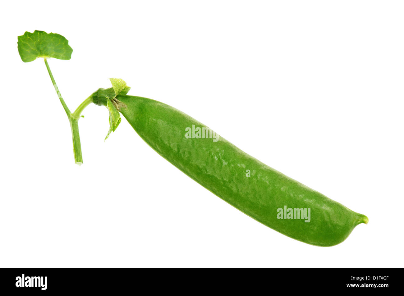 Greenpea hi-res stock photography and images - Alamy