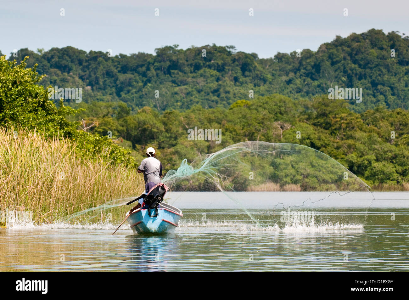 Fisherman casting net on Lake Izabal (Lago de Izabal), Guatemala ...