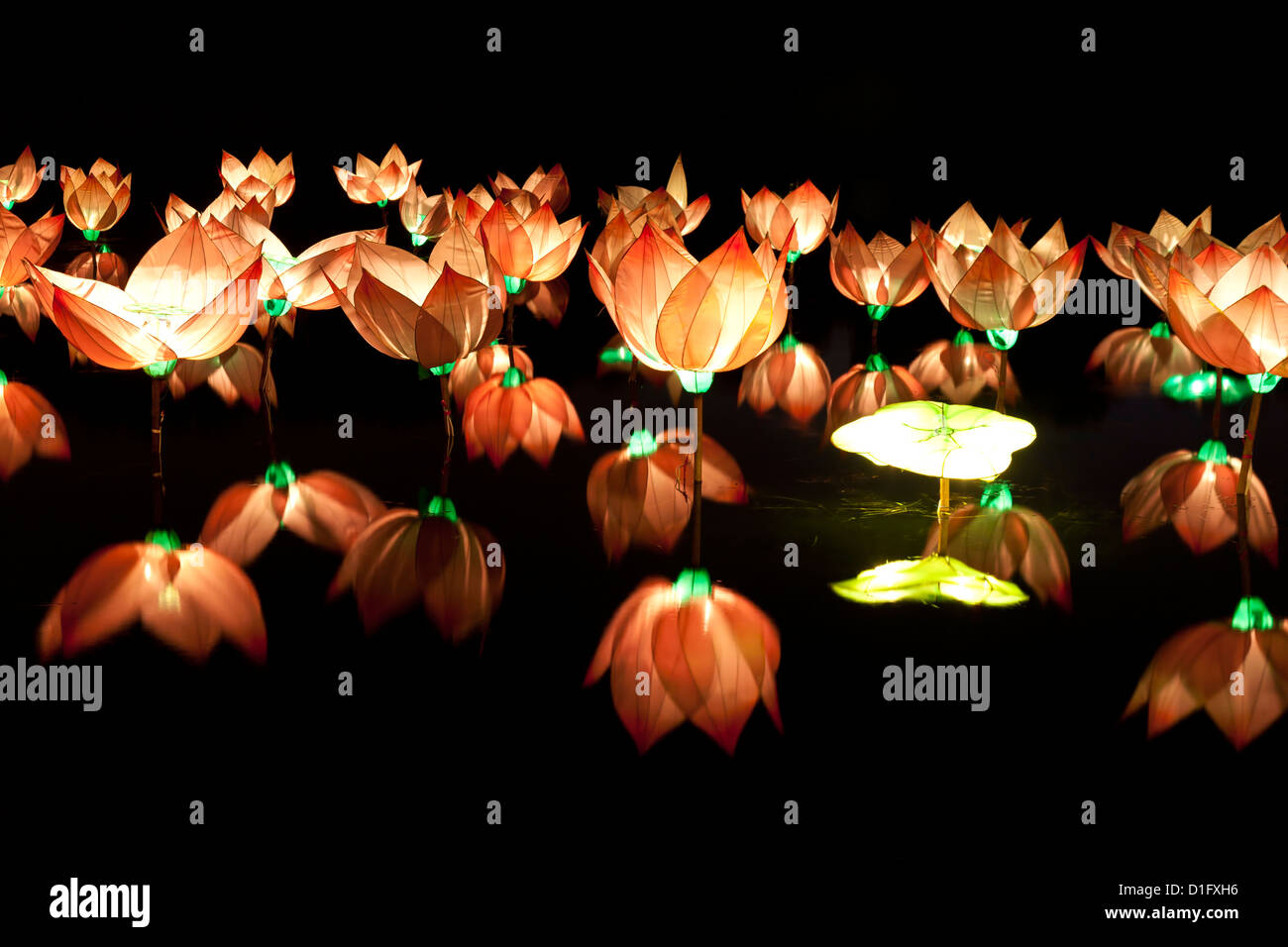 Lotus lantern festival lanterns hi-res stock photography and images - Alamy