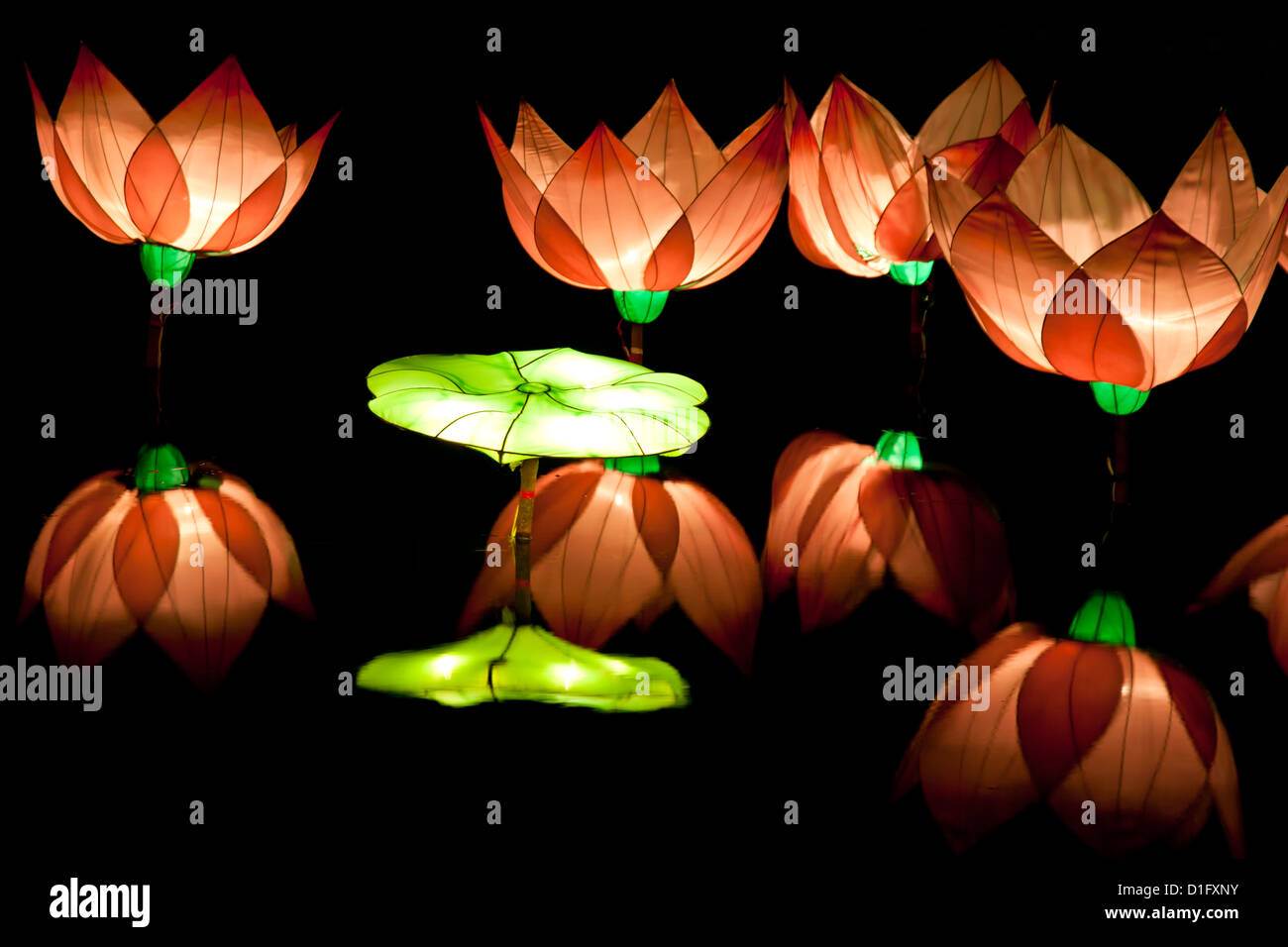 Lotus lantern festival lanterns hi-res stock photography and images - Alamy