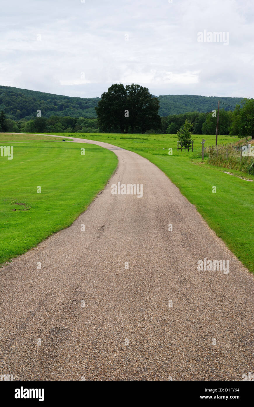 Tarmac road leading round bend into distance at Burton Park. Duncton ...