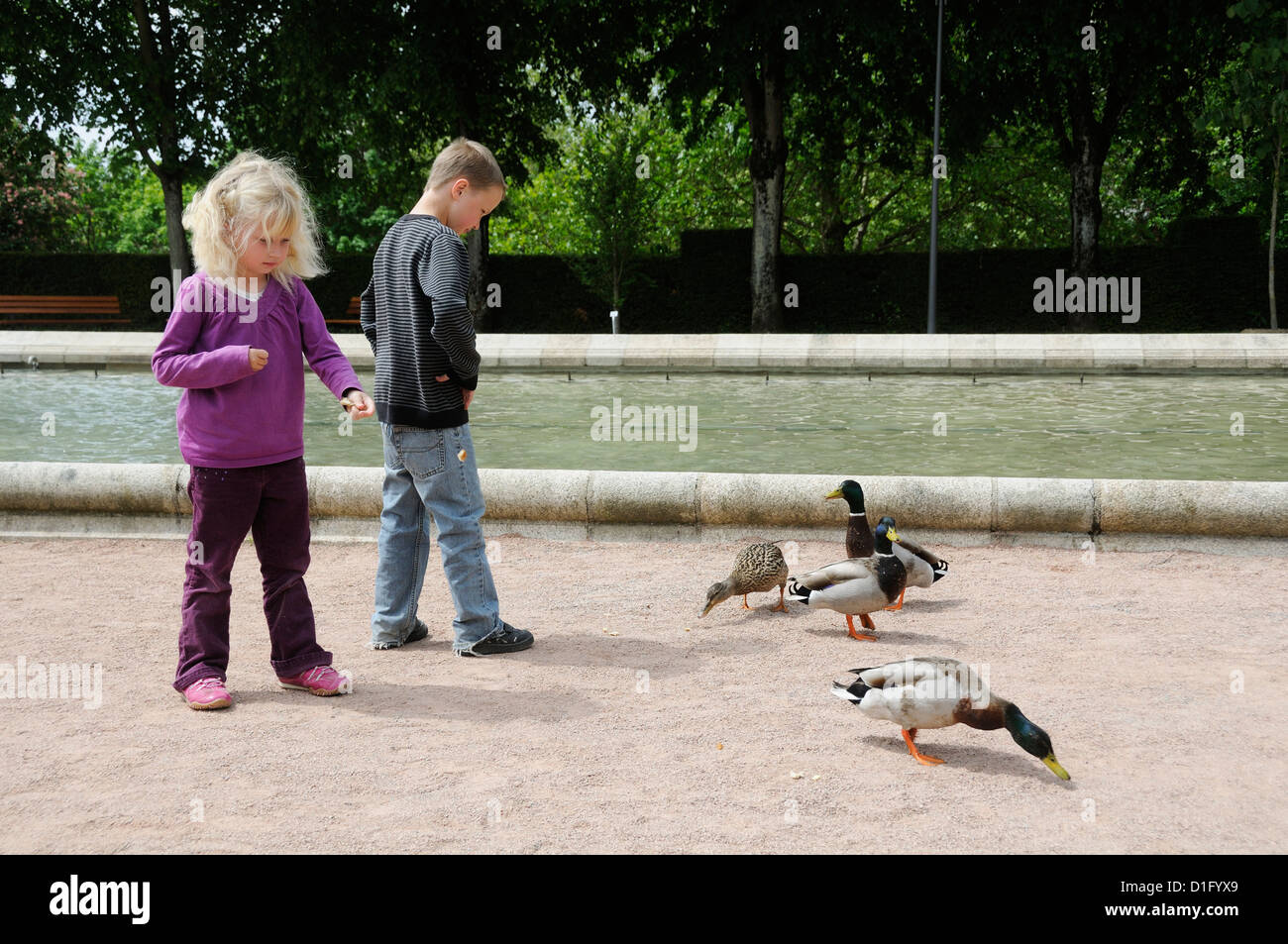 Children feeding the ducks hi-res stock photography and images - Alamy